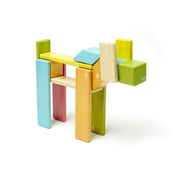 Tegu Blocks – StarryBird Kids
